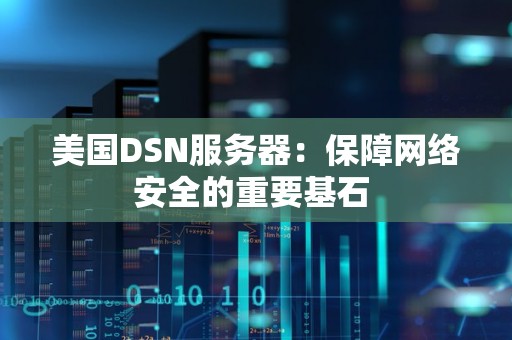美国DSN服务器：保障网络安全的重要基石 -A5互联